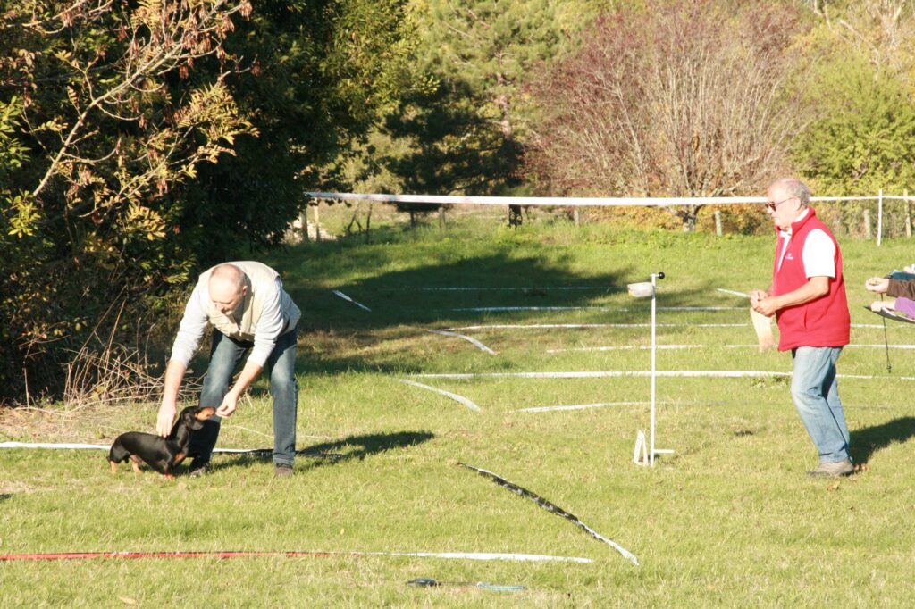 Carnac-Rouffiac – Sauzet : La Canine du Lot organise deux concours de ...