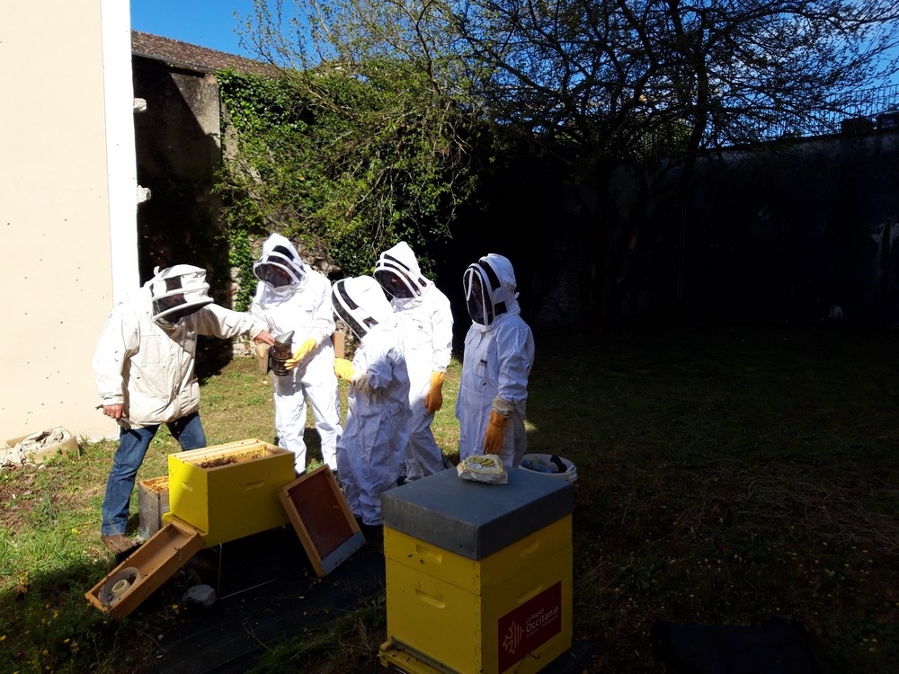 Cahors : Ça bourdonne au lycée Clément Marot ! – Medialot
